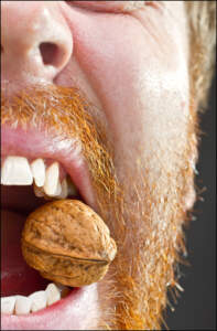 Avoid Tooth Damage from Chewing on Hard Objects - Marysville Family ...